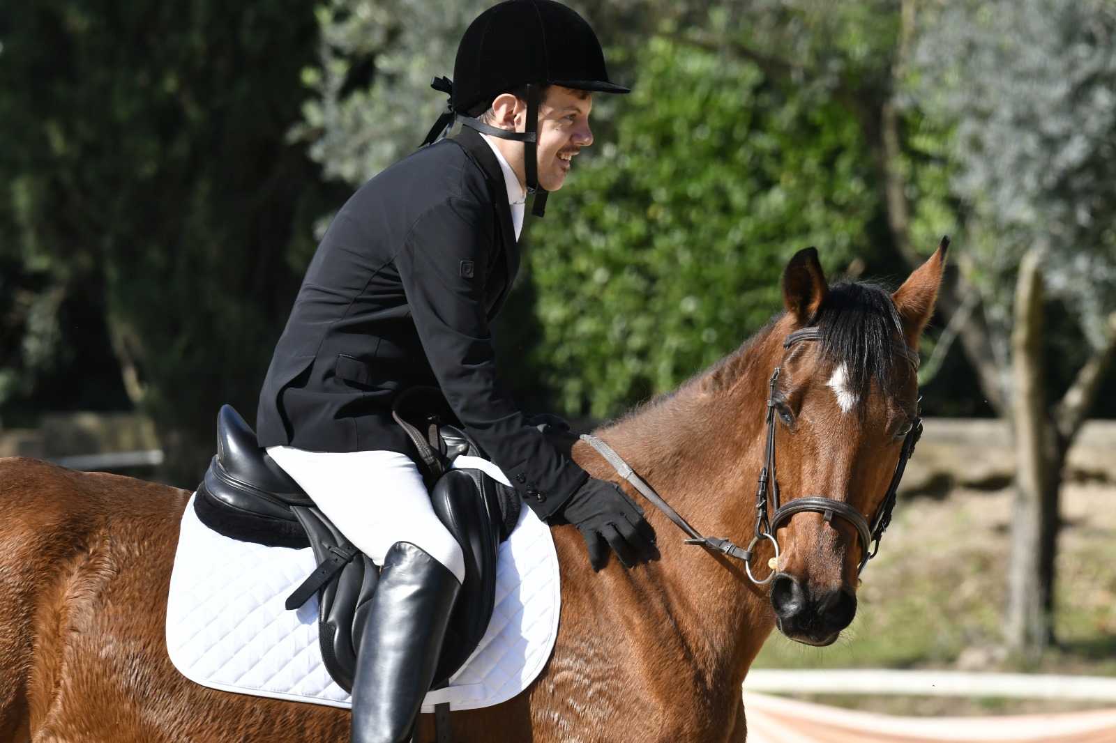 Paradressage: Oro per Davide Riccardelli ai campionati regionali 2024 ...